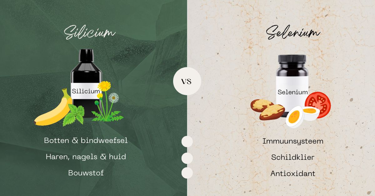 Het verschil tussen silicium en selenium: twee unieke mineralen!